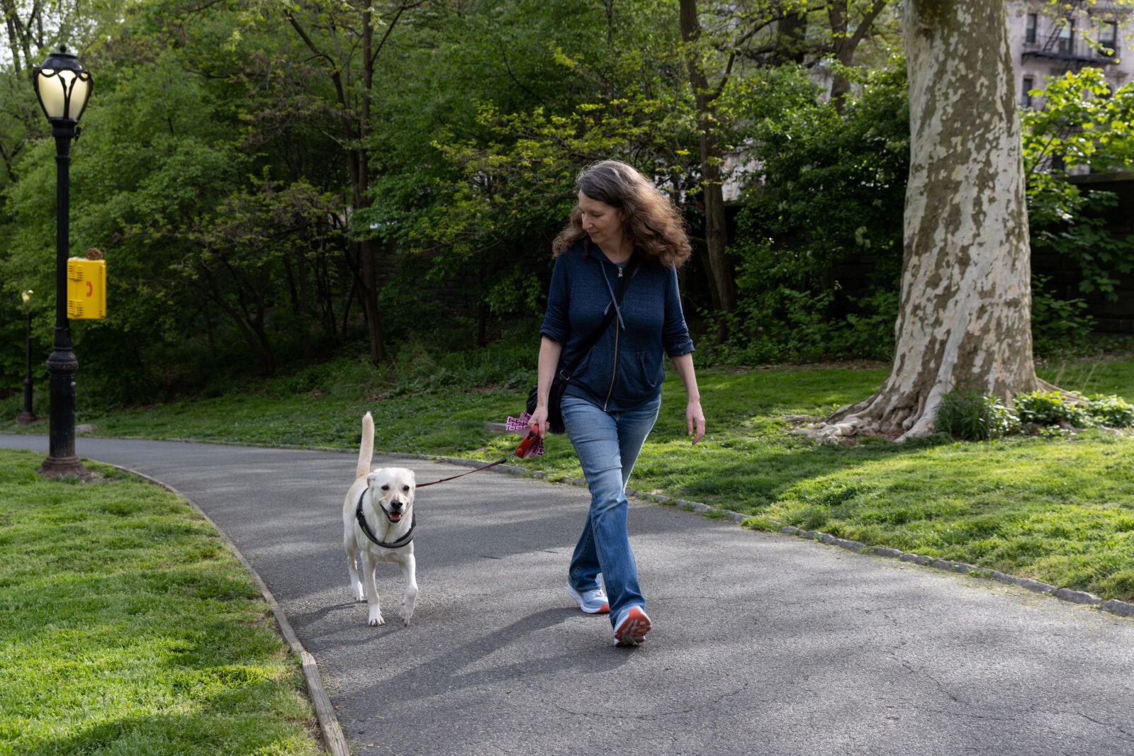 What Is Walking The Dog Slang For