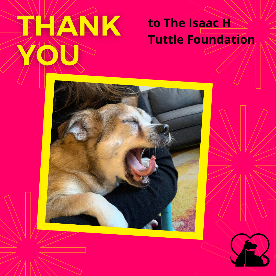 Isaac H. Tuttle Fund Renews Funding for PAWS NY