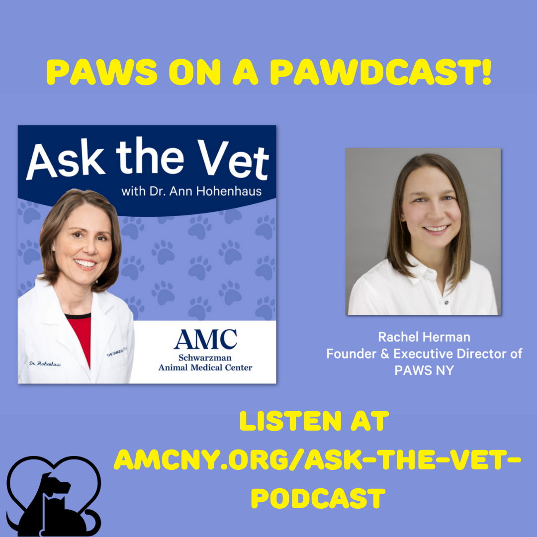 PAWS on Ask The Vet Podcast
