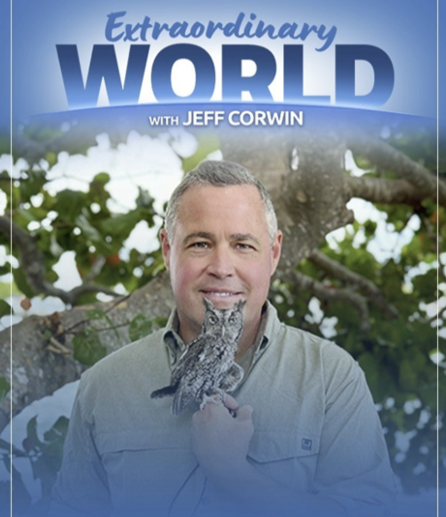 PAWS on CBS show Extraordinary World with Jeff Corwin